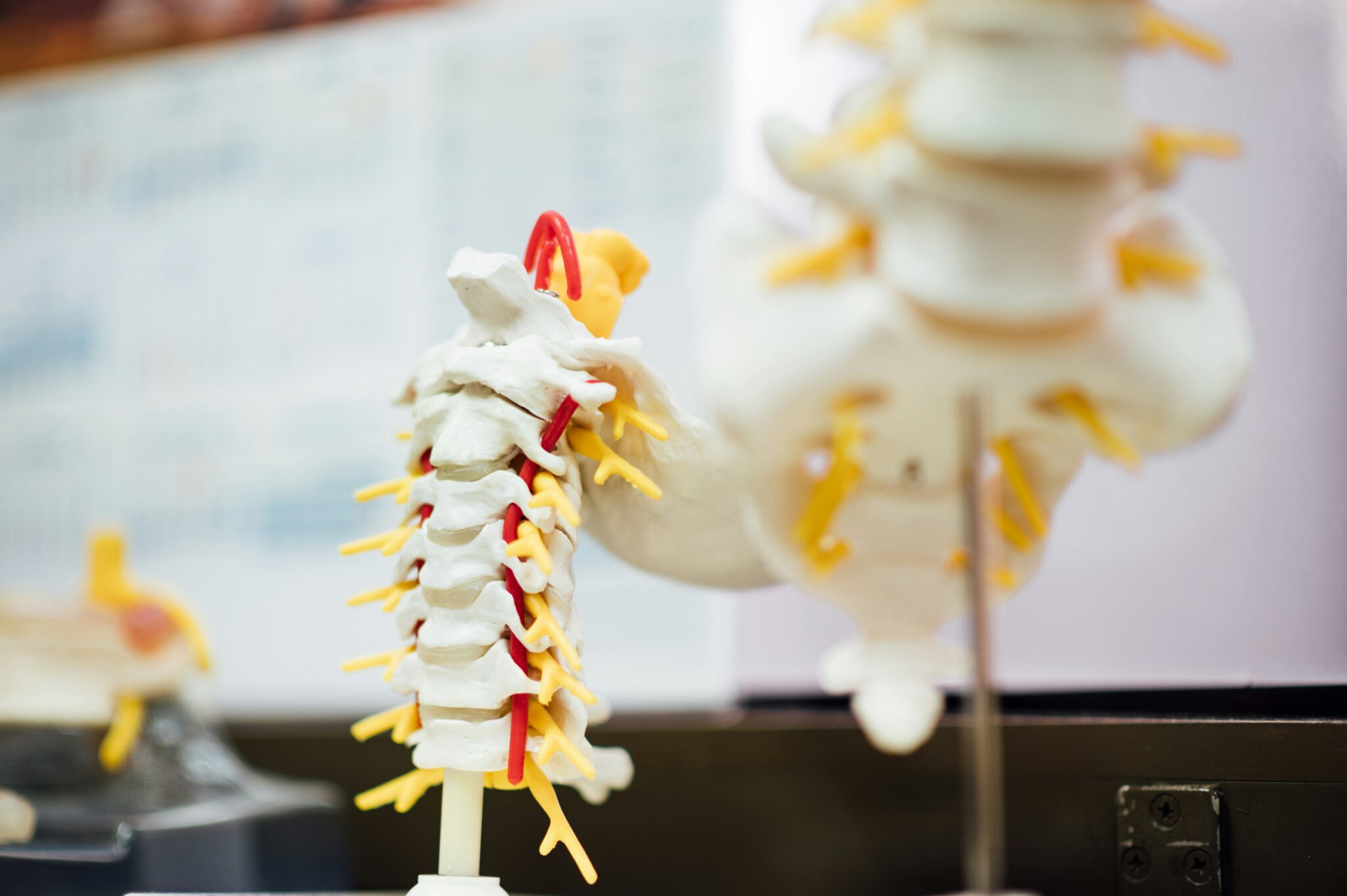 Can a Chiropractor Help With a Bulging Disc?